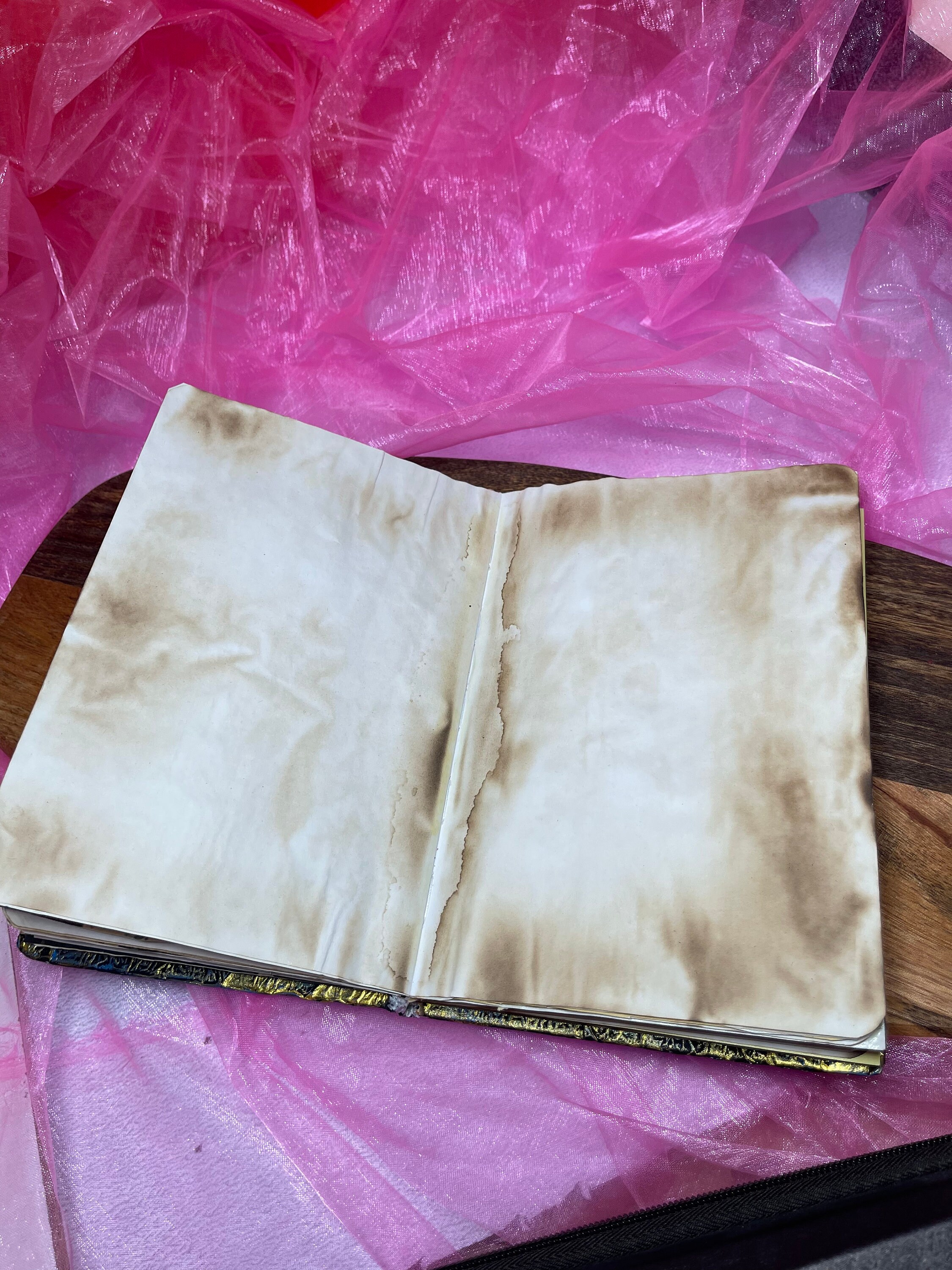 Alice in Wonderland Diary Secret Diary Junk Journal Alice - Etsy Canada
