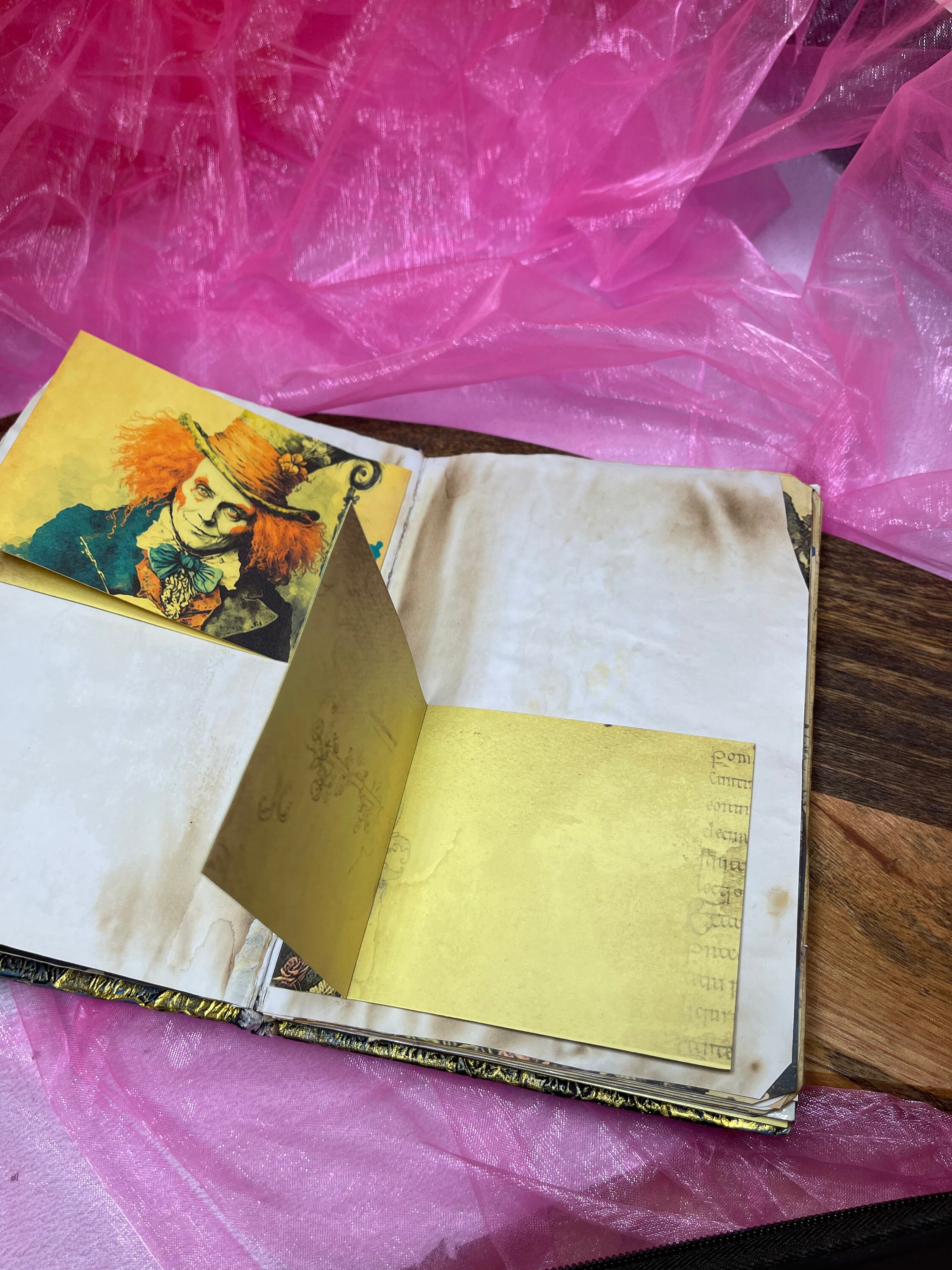Alice in Wonderland Diary Secret Diary Junk Journal Alice - Etsy Canada