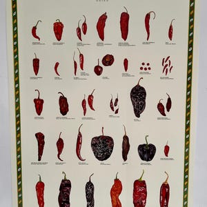 Vintage Chili Peppers Educational Poster 1996 - Etsy