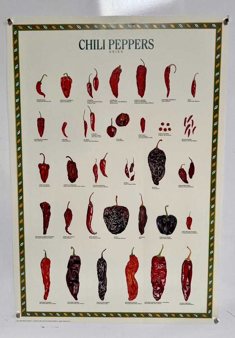 Vintage Chili Peppers Educational Poster 1996 - Etsy