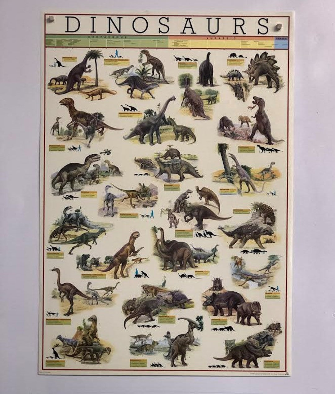 Dinosaurs Educational Poster - Etsy