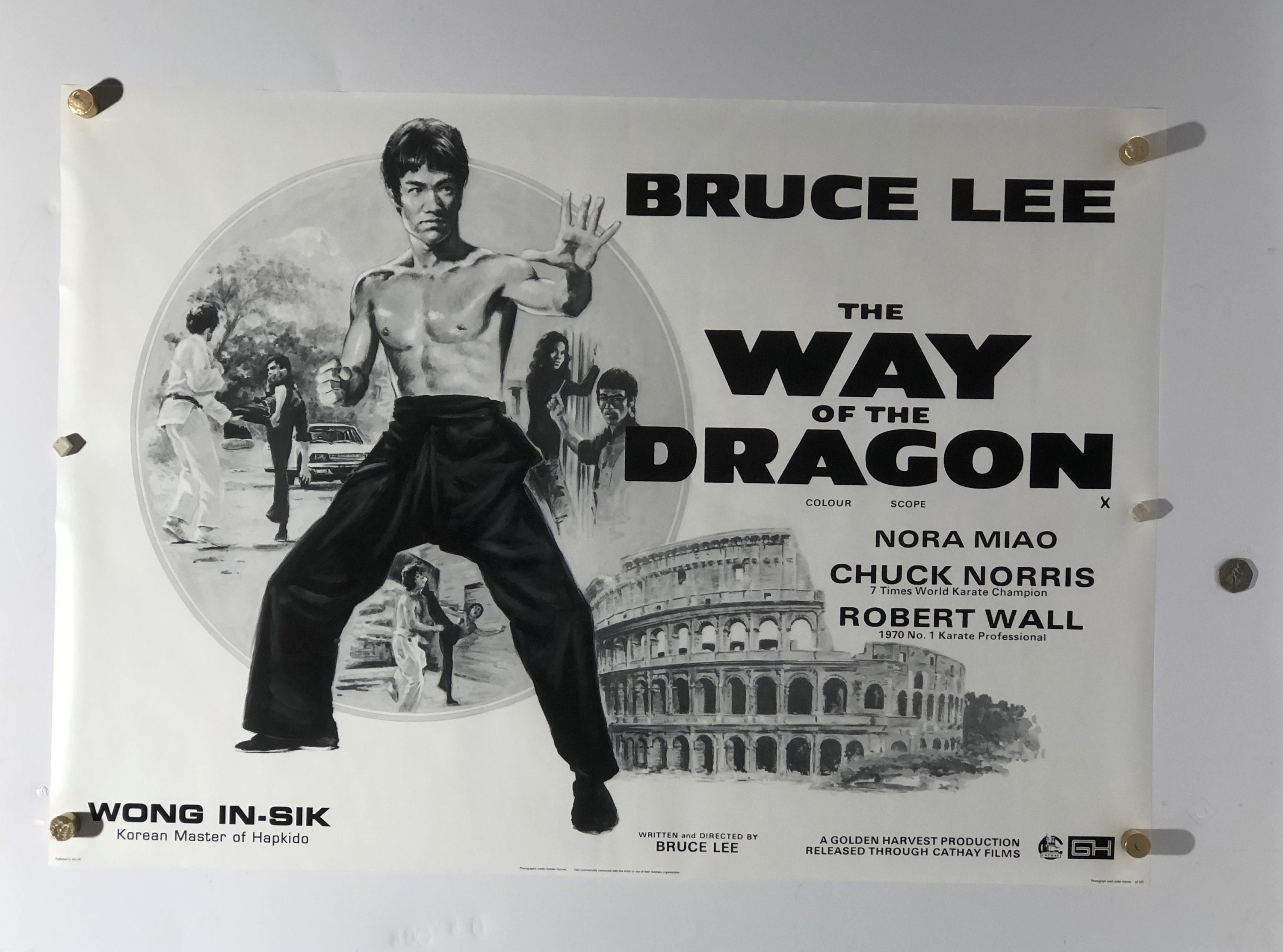 Bruce Lee the Way of the Dragon Poster - Etsy