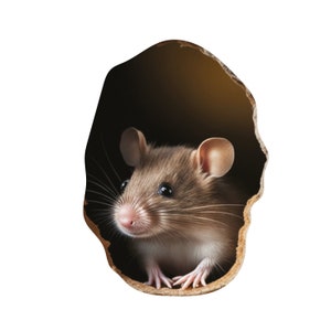 3D Mouse Hole Sticker: Realistic Skirting Board Wall Decal - Etsy