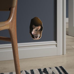 3D Mouse Hole Sticker: Realistic Skirting Board Wall Decal - Etsy