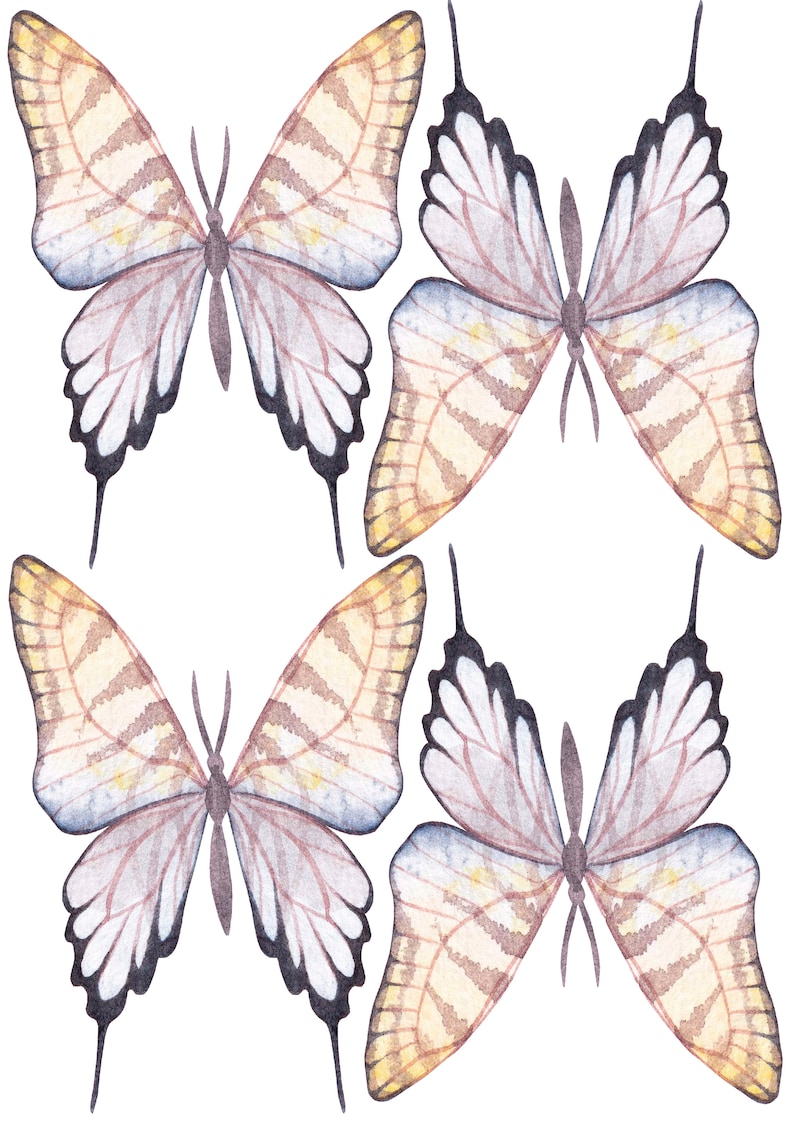 Butterfly Wall Stickers Butterfly Wall Decal Butterflies - Etsy