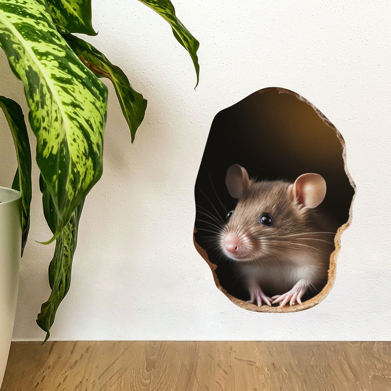 Mouse Hole Decal - Etsy