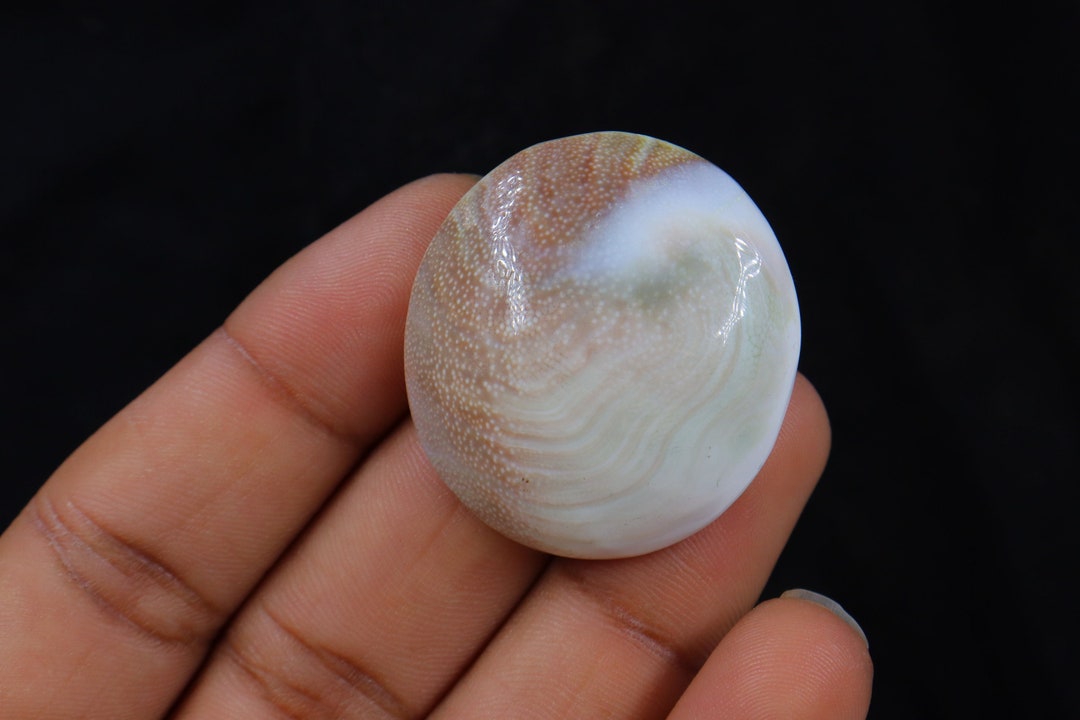 Amazing Quality Big Shiva Eye Shell Cabochon, Natural Shiva Eye Shell ...