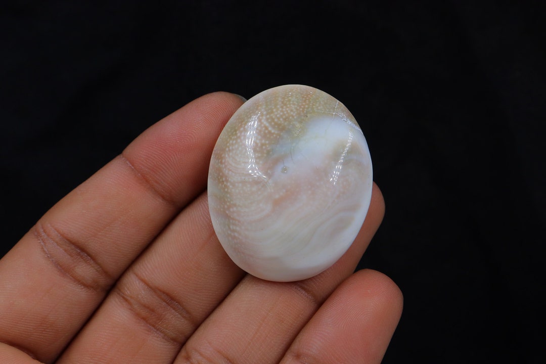 Amazing Quality Big Shiva Eye Shell Cabochon, Natural Shiva Eye Shell ...
