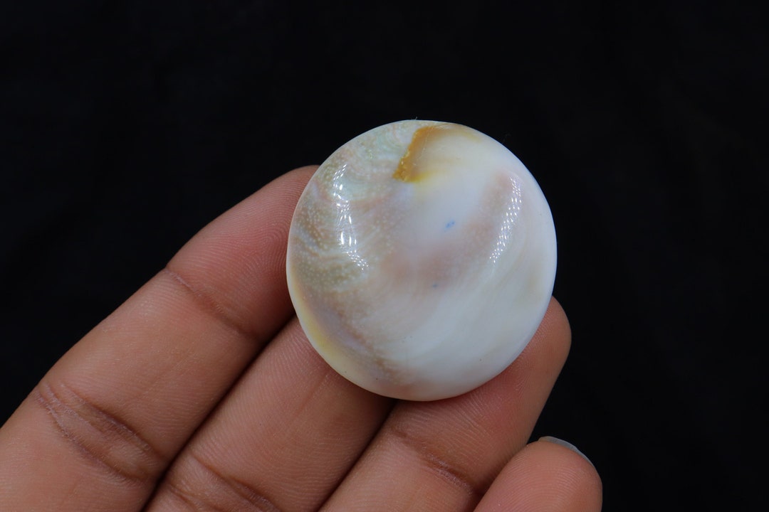 Amazing Quality Big Shiva Eye Shell Cabochon, Natural Shiva Eye Shell ...