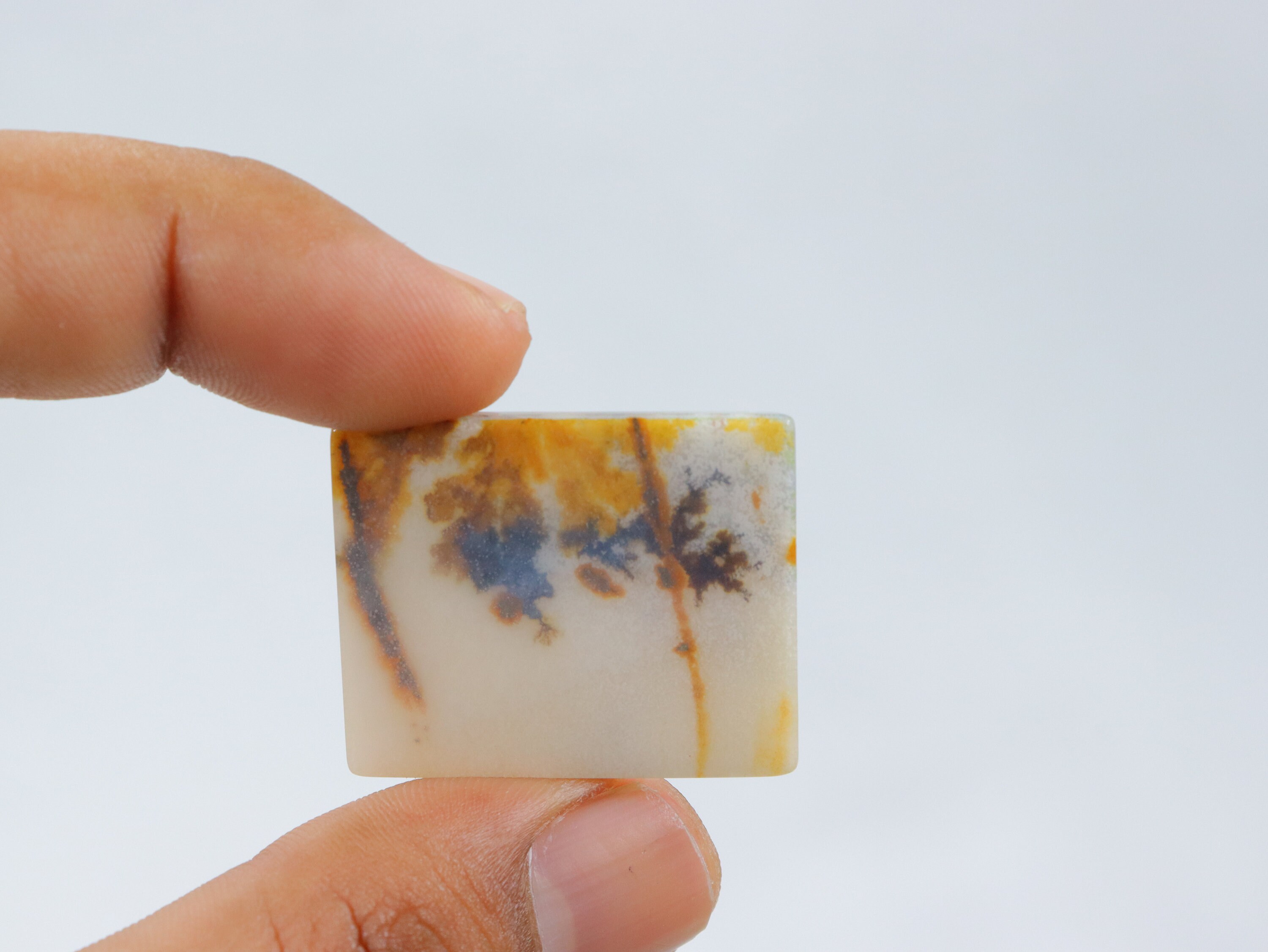 Scenic Dendrite Gemstone, Natural Design Dendrite, Polished Dendritic ...