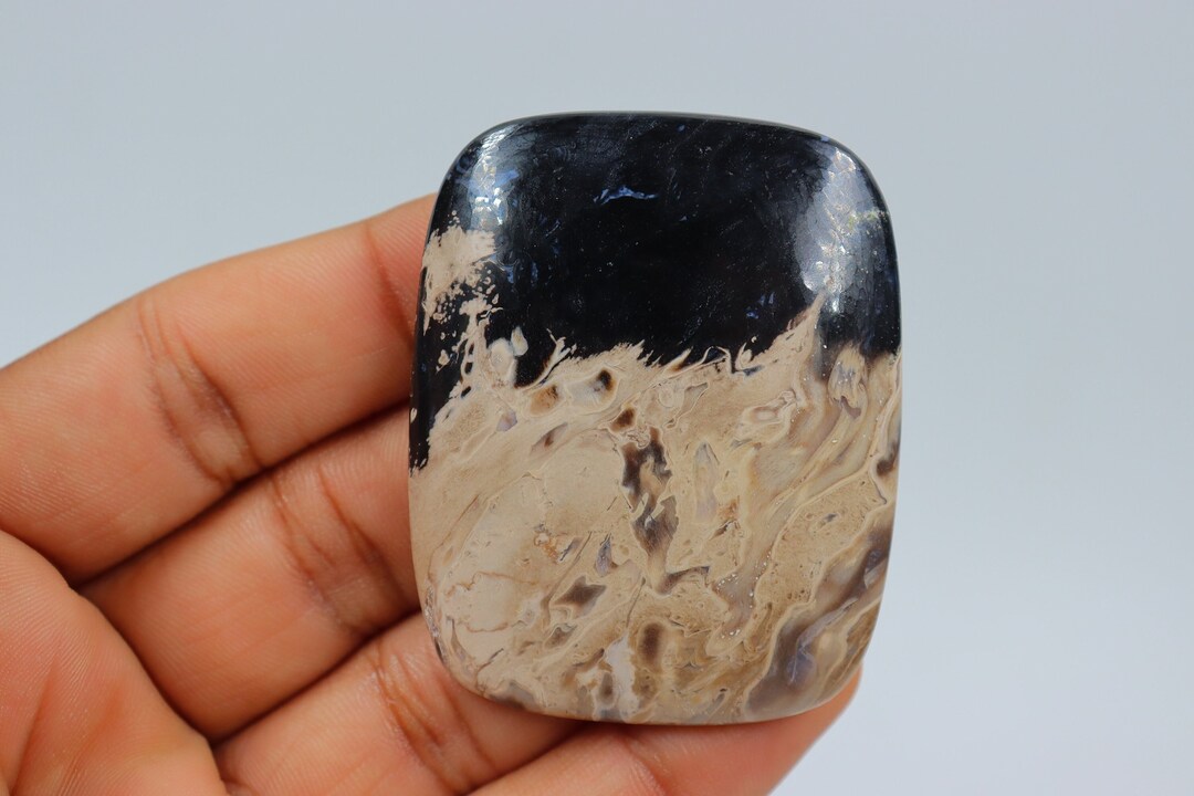 Designer Palm Root Cabochon, Wire Wrapping, Fossilized Palm Root ...