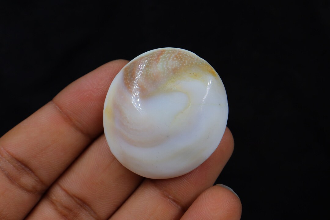 Amazing Quality Big Shiva Eye Shell Cabochon, Natural Shiva Eye Shell ...