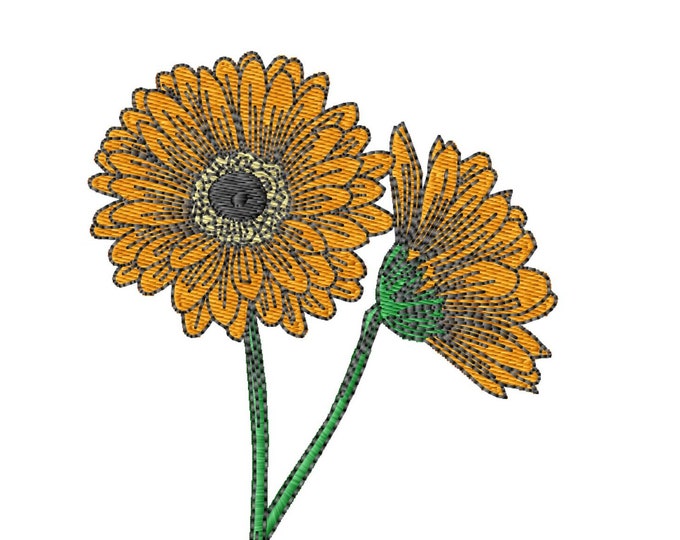 Gerbera Daisies Machine Embroidery Design. 8 Different File Embroidery ...