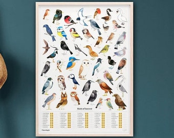 British Garden Birds Identification Chart Wildlife Poster A5 - Etsy UK