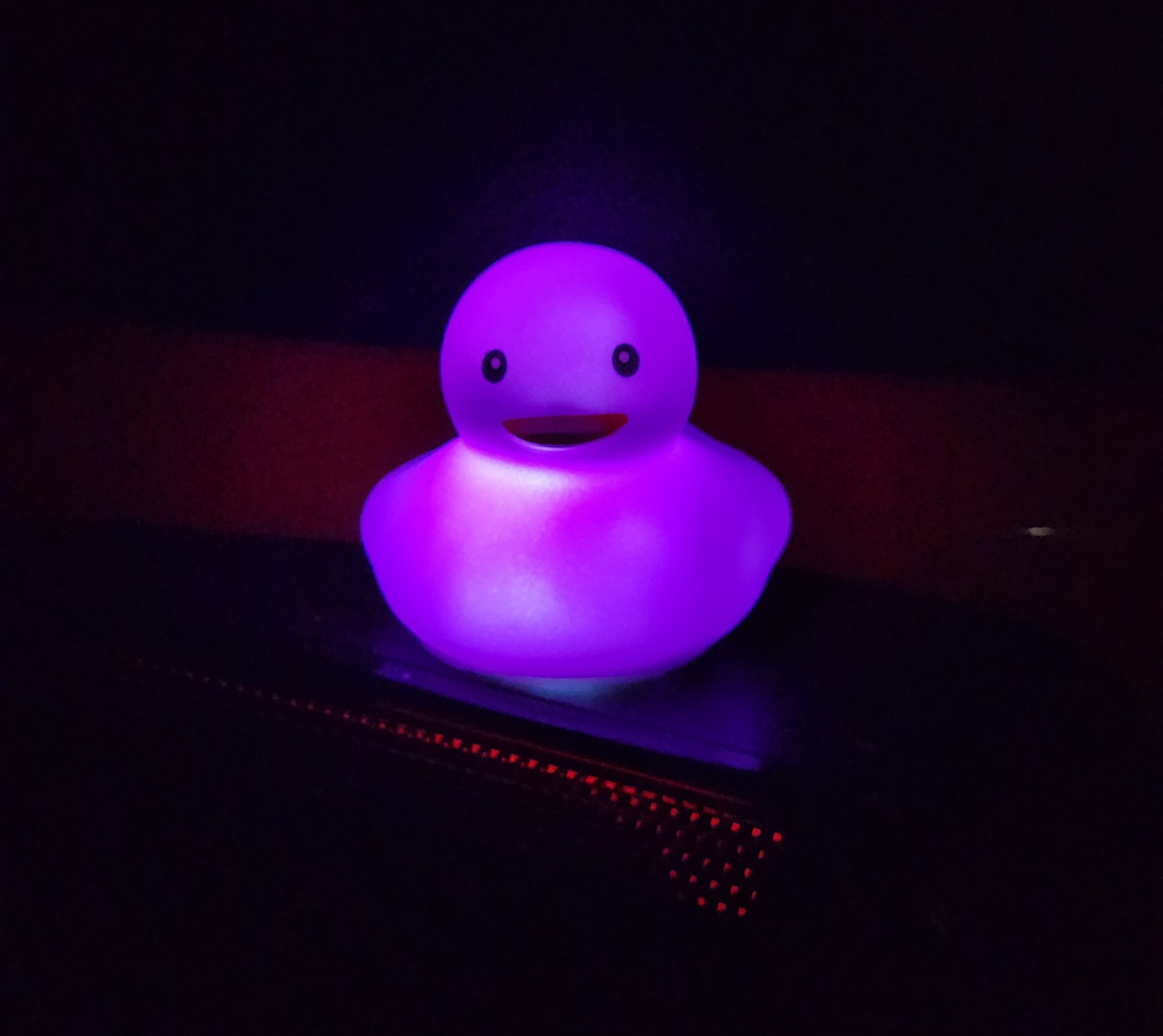 12 Purple Rubber Ducks With LED Light Great Gift for Any Occasion or ...