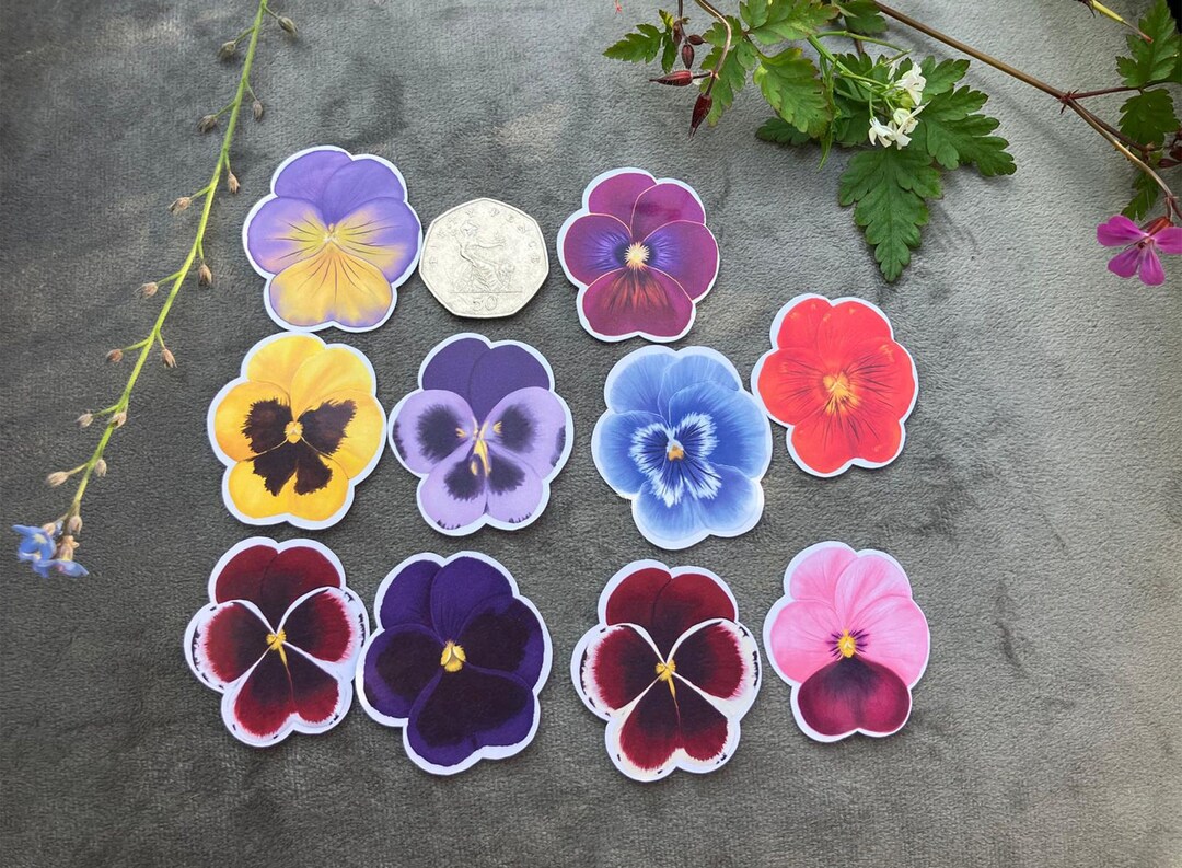 Cute Realistic Glossy Pansy Flower Sticker Bundle for Bullet Journals ...