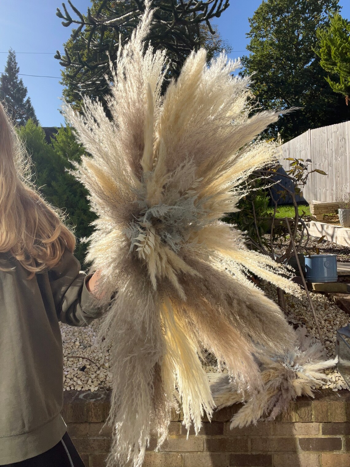 Pampas Wings Pampas Backdrop Salon Decor Dried Flower - Etsy