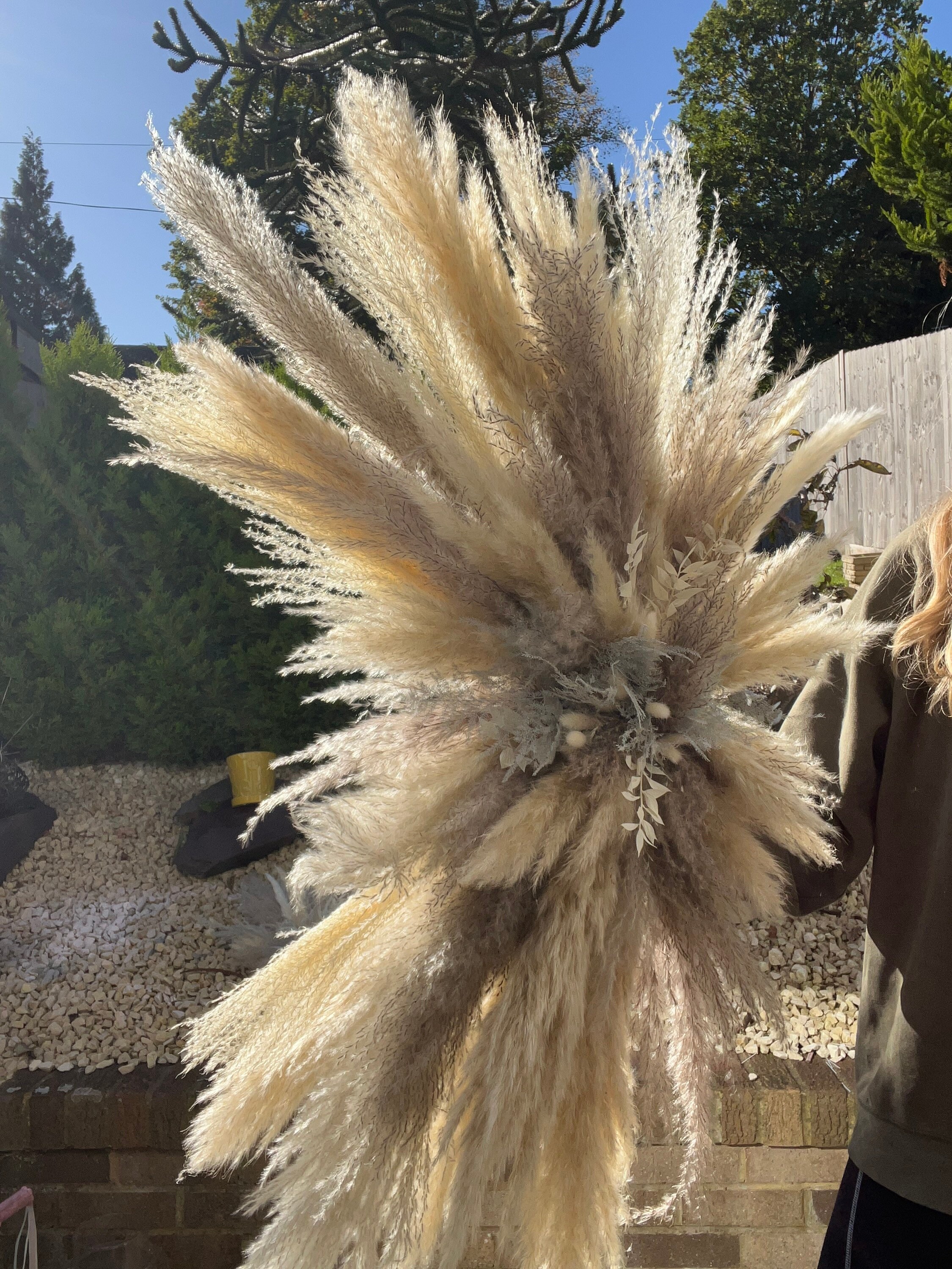 Pampas Wings Pampas Backdrop Salon Decor Dried Flower - Etsy