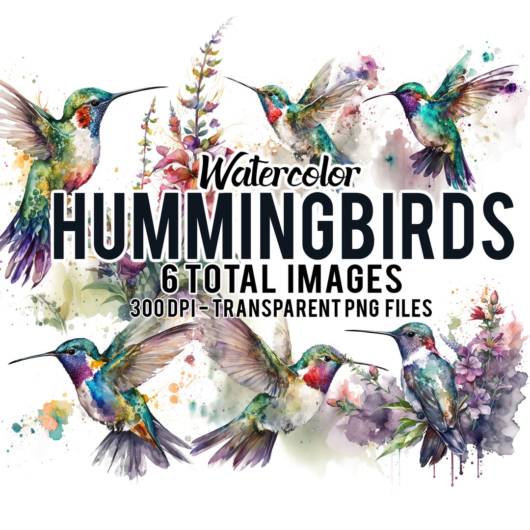 Hummingbird Watercolor Clipart Set Digital Download Bundle, Transparent ...