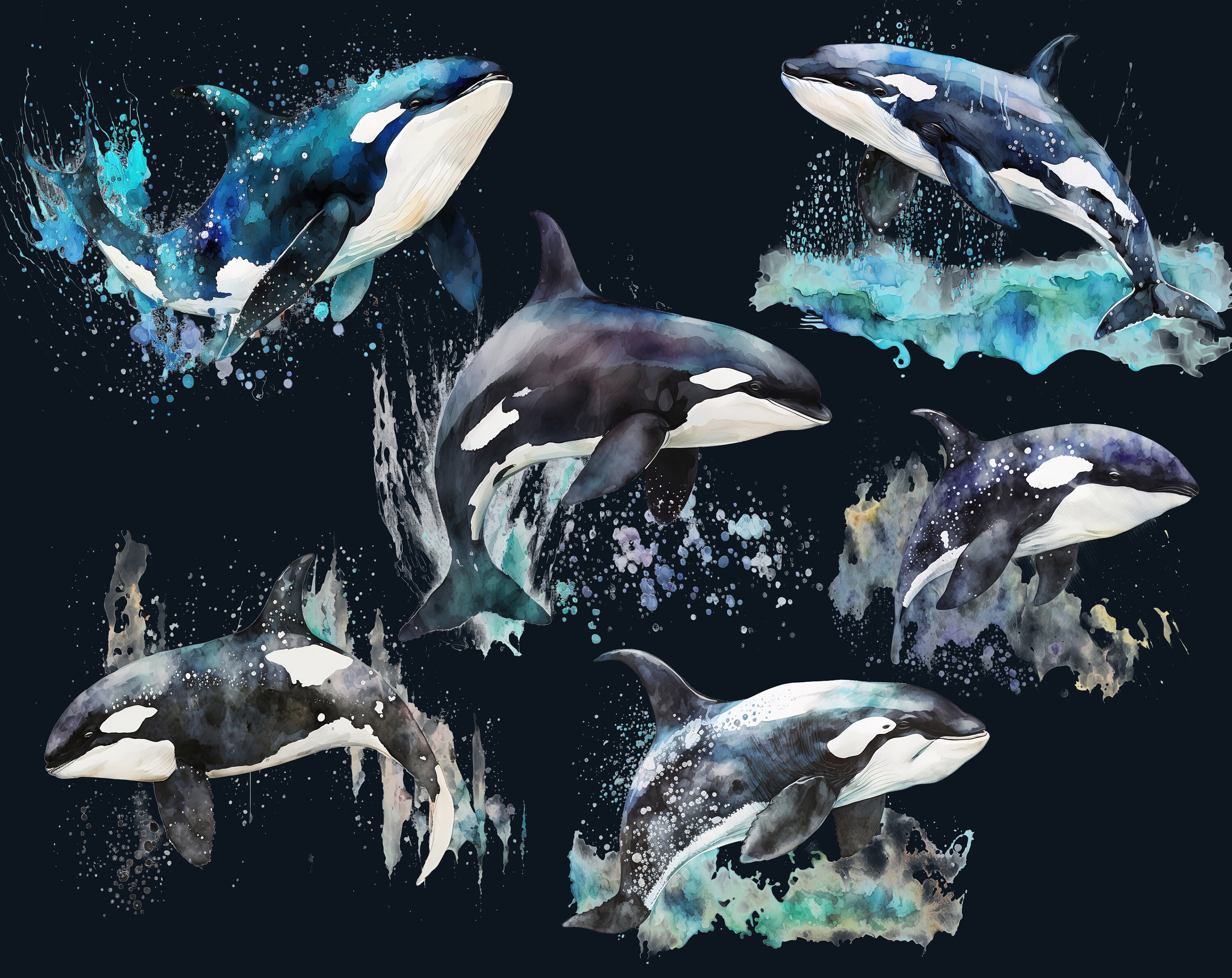 Orca Killer Whales Watercolor Clipart Set Digital Download - Etsy