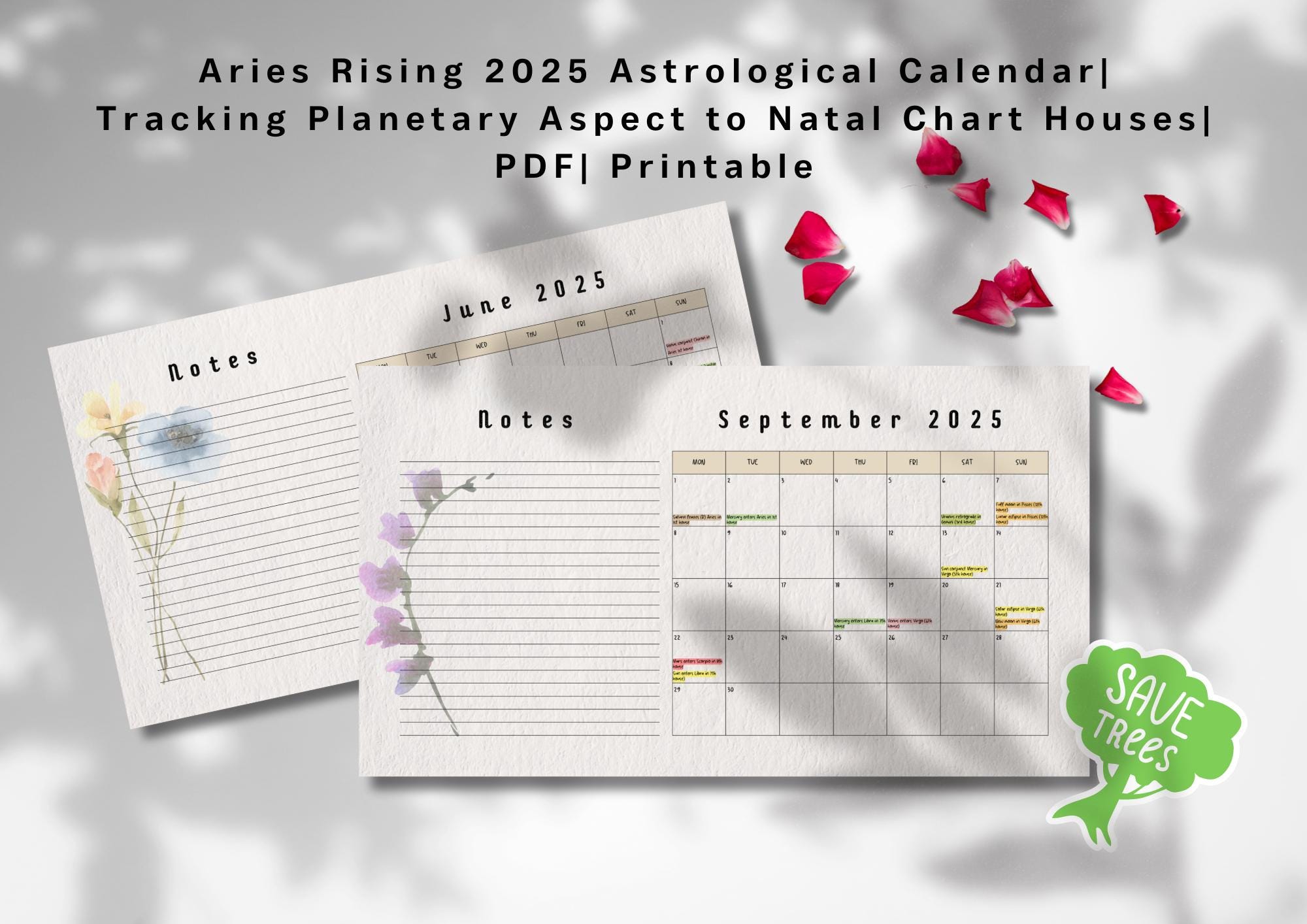 Aries Rising 2025 Demure Astrological Calendar: Planetary Transits ...