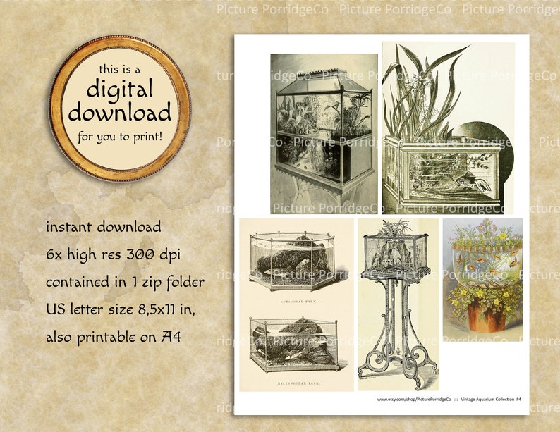 Aquarium Victorian Fish Tank Vintage Illustration Digital Instant ...