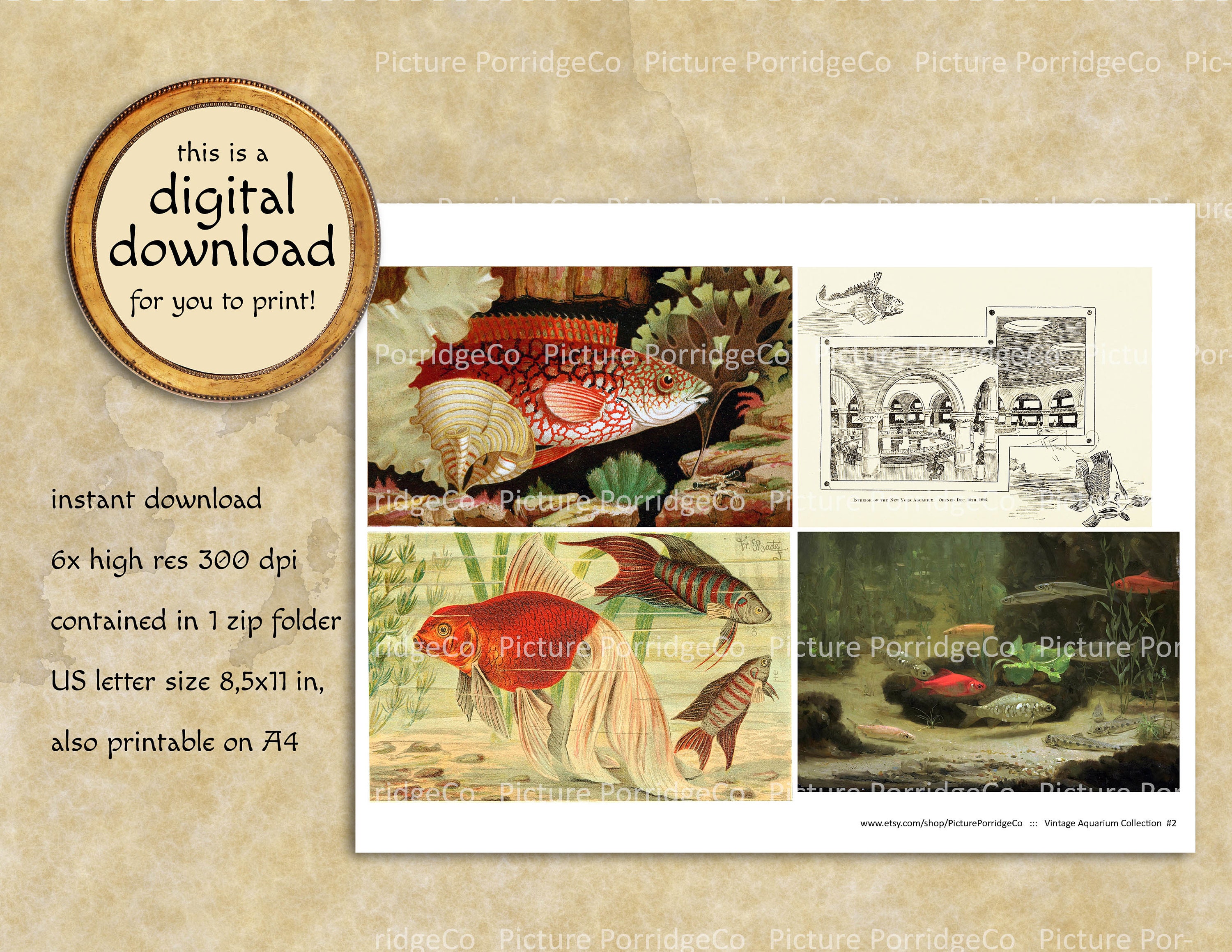 Aquarium Victorian Fish Tank Vintage Illustration Digital Instant ...