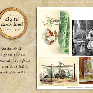 Aquarium Victorian Fish Tank Vintage Illustration Digital Instant ...