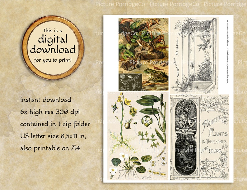 Aquarium Victorian Fish Tank Vintage Illustration Digital Instant ...