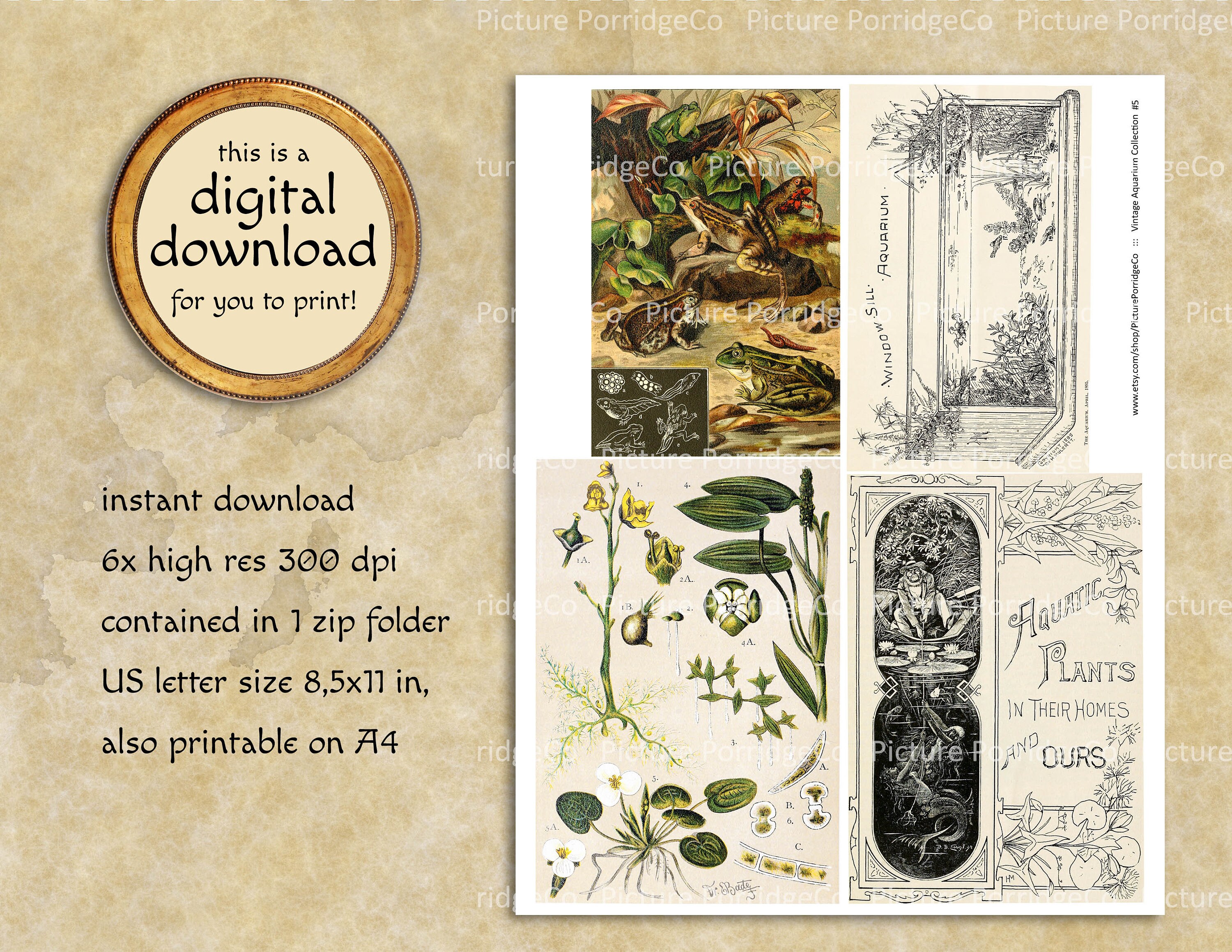 Aquarium Victorian Fish Tank Vintage Illustration Digital Instant ...