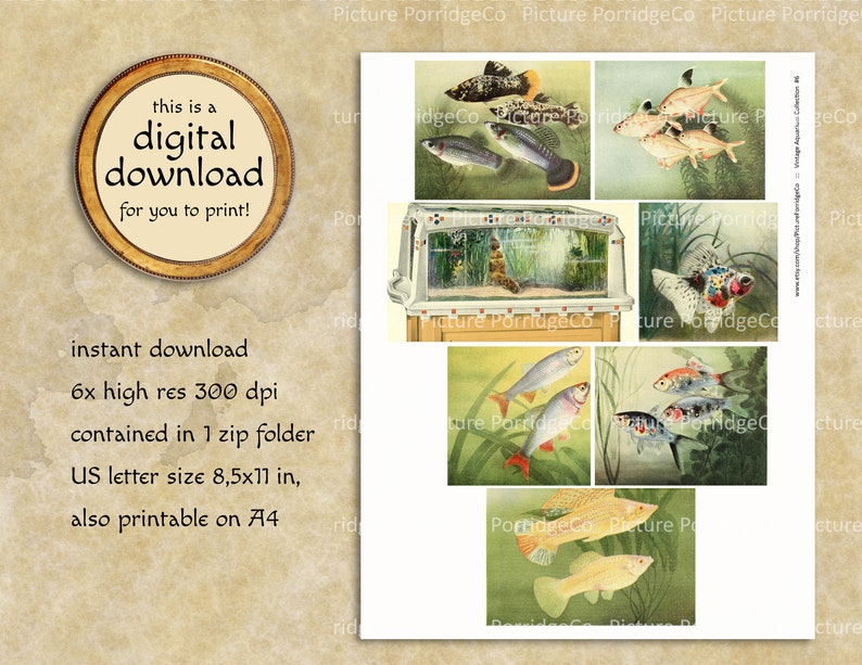 Aquarium Victorian Fish Tank Vintage Illustration Digital Instant ...