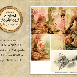 Aquarium Victorian Fish Tank Vintage Illustration Digital Instant ...