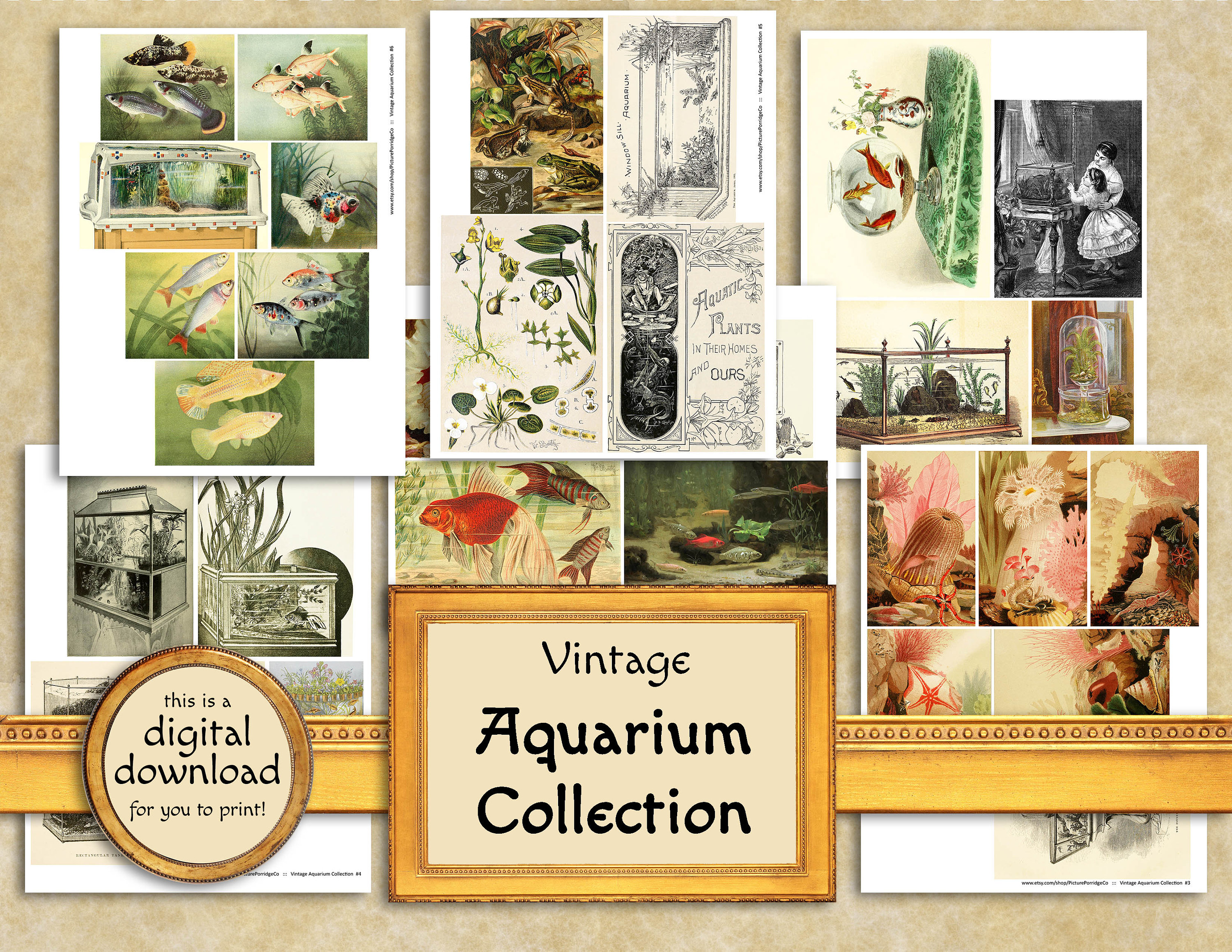 Aquarium Victorian Fish Tank Vintage Illustration Digital Instant ...