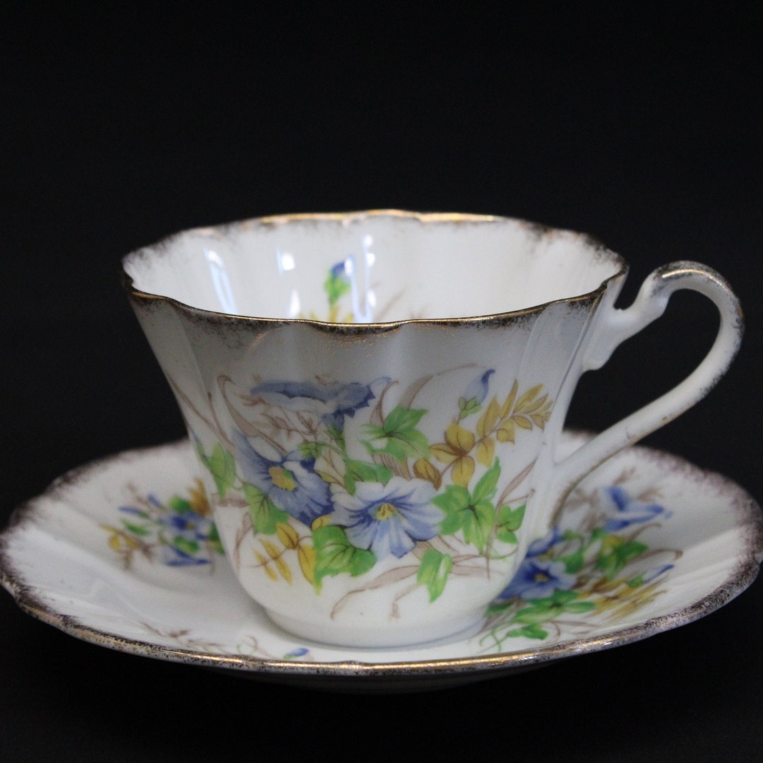 Vintage Gladstone Blue Trumpet Flowers Tea Cup and Saucer English Bone ...