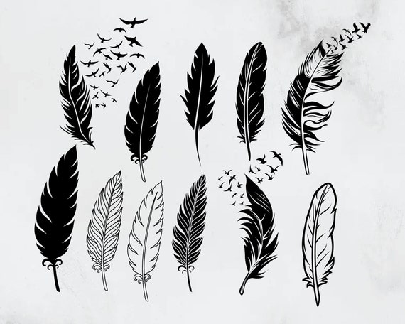 Feathers Svg Bundle Digital Download Feathers Svg Cricut - Etsy