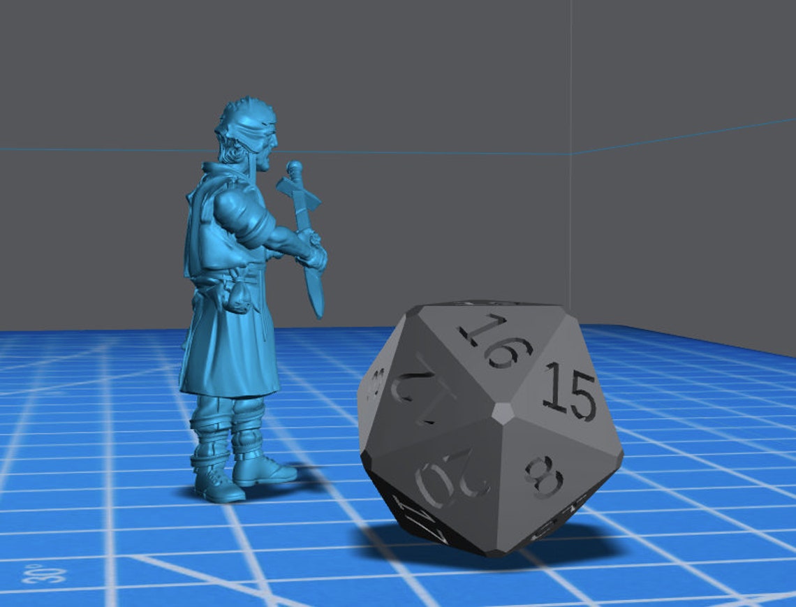 Militia Swordsman W Backwards Sword Monty Python and the - Etsy