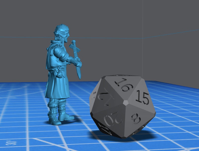 Militia Swordsman W Backwards Sword Monty Python and the - Etsy