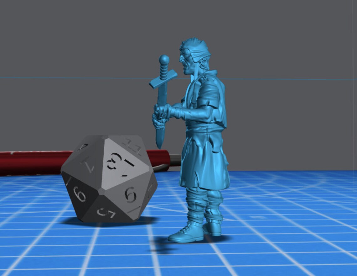 Militia Swordsman W Backwards Sword Monty Python and the - Etsy