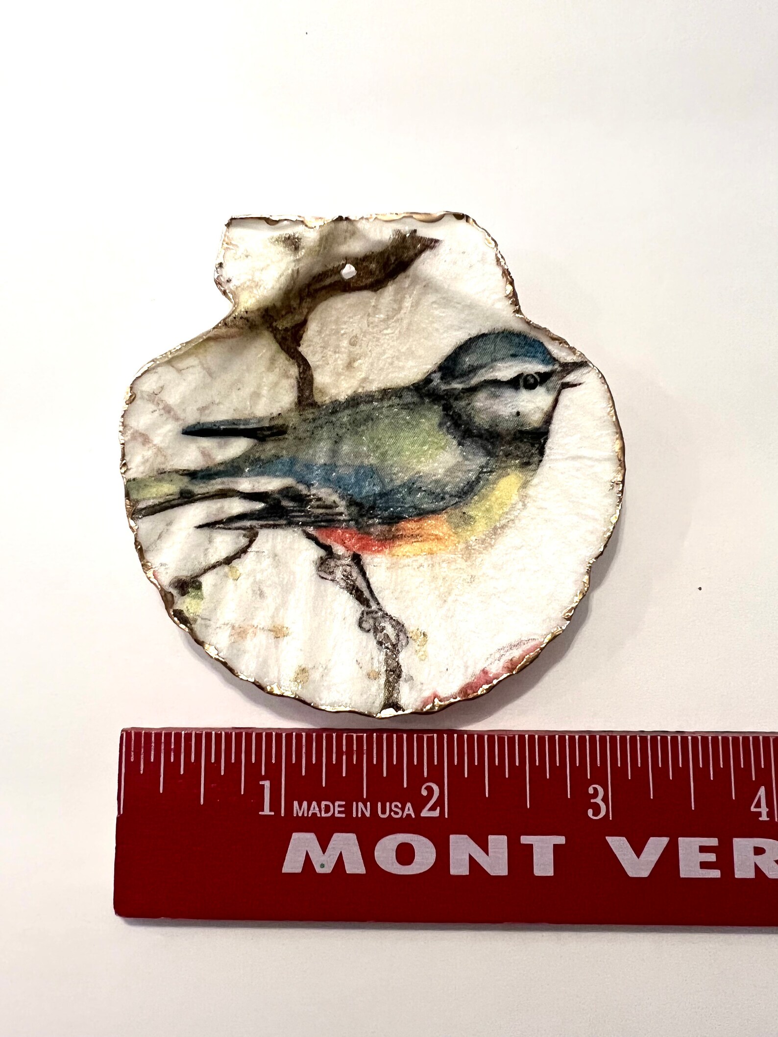 Med. Decoupage Clam Shells - Etsy