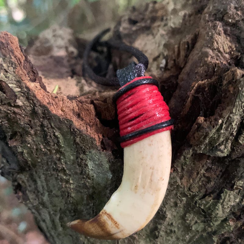 Wild Boar Tusk Jewellery - Etsy UK