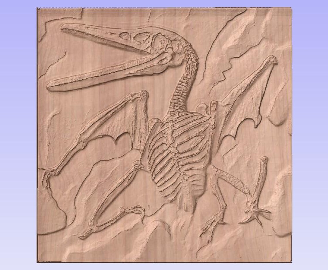 Pterodactyl Fossil 3D STL for CNC - Etsy
