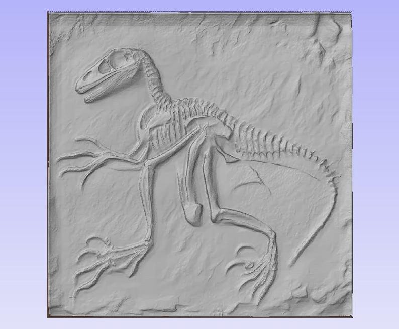 Velociraptor Fossil STL for CNC - Etsy