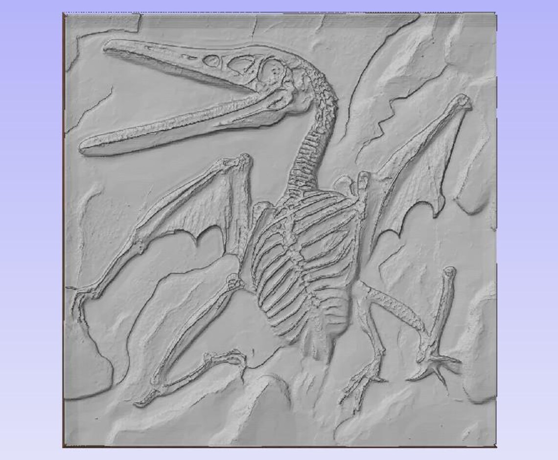 Pterodactyl Fossil 3D STL for CNC - Etsy