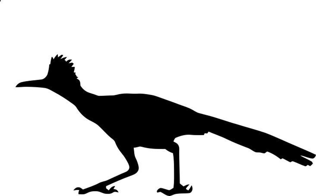 Road Runner SVG - Etsy
