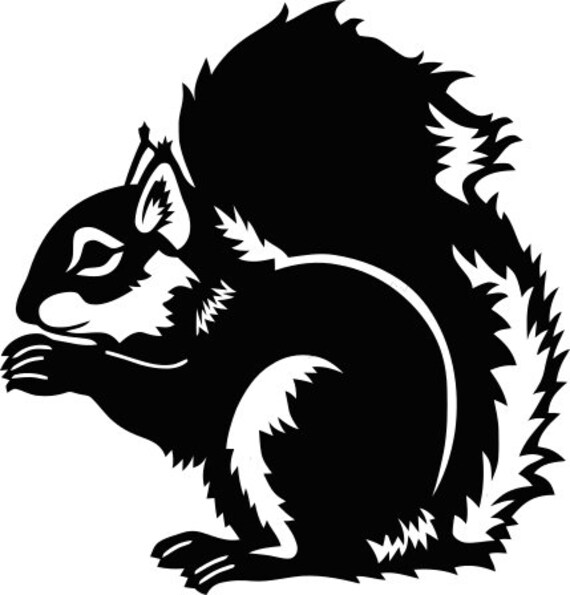 Squirrel Svg Etsy