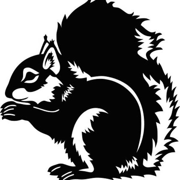 Squirrel Svg - Etsy