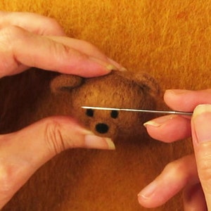 Needle Felting Faces: Beginner's Guide PDF Tips on Fine Lines and Face ...