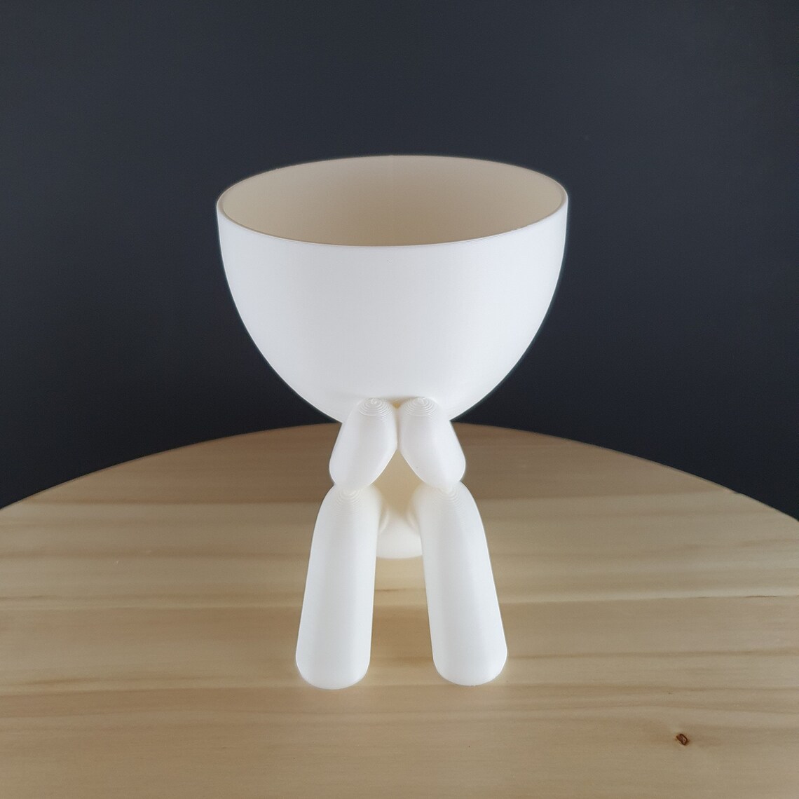 Robert Planter / Succulents / Indoor Planter / Cactus - Etsy