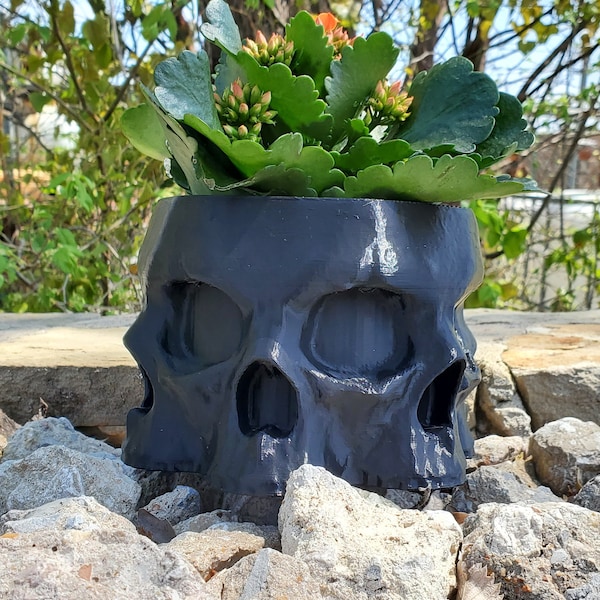 3d Print Skull Vase - Etsy