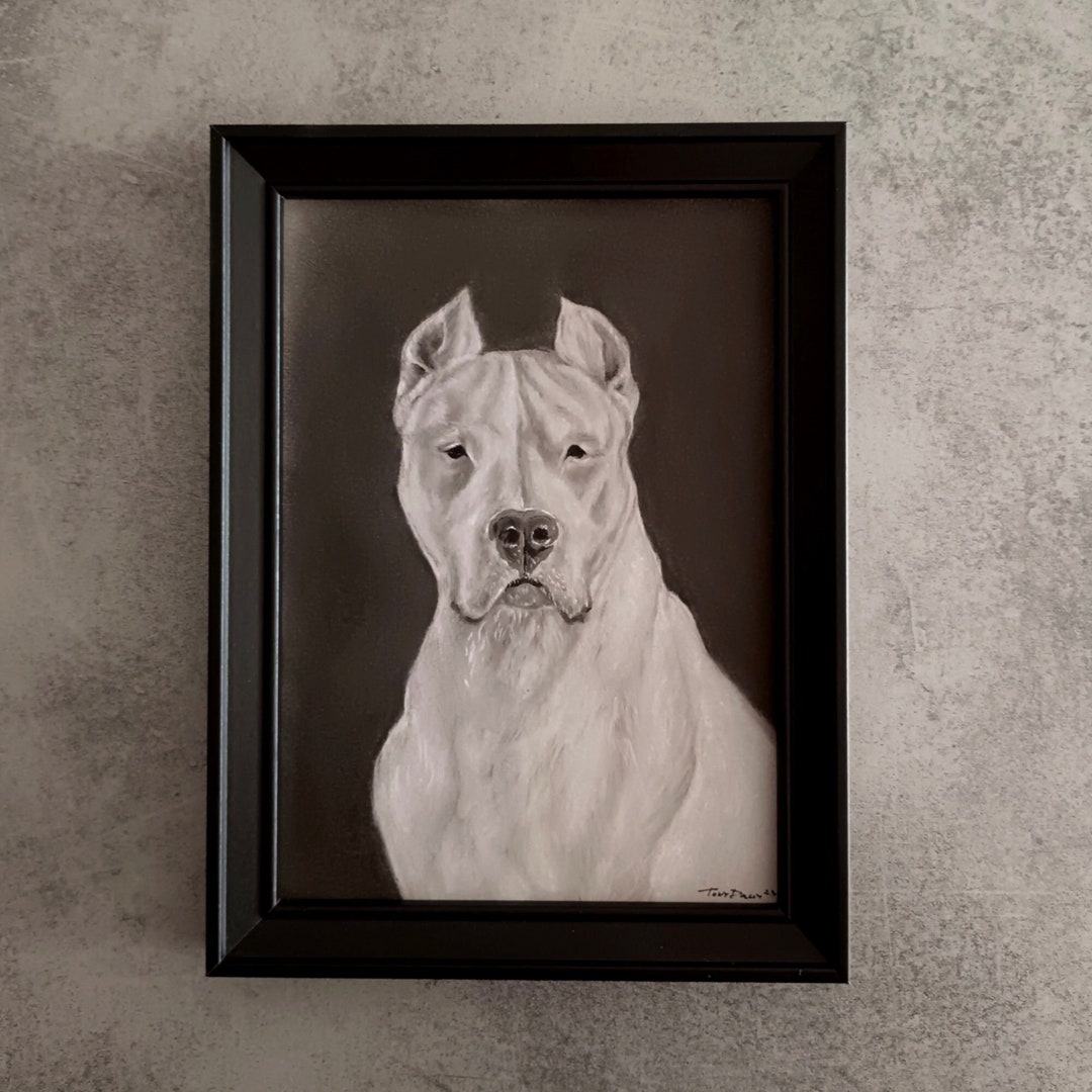 Dogo Argentino, Dog, Portrait Drawing, Gift, Pets, Handmade 24x18 Cm ...